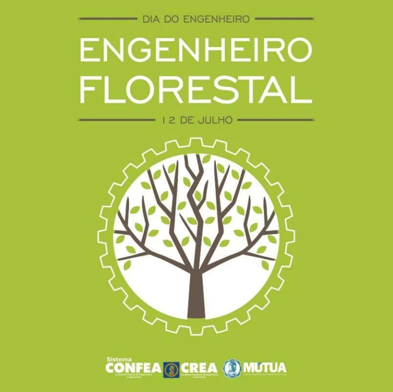 12 de julho Dia do Engenheiro Florestal | Crea-AL - Conselho Regional ...